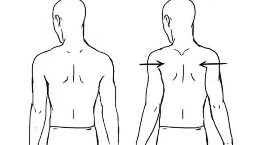 How To Prevent Dodgy 'Gym Shoulders' - Western Region Health