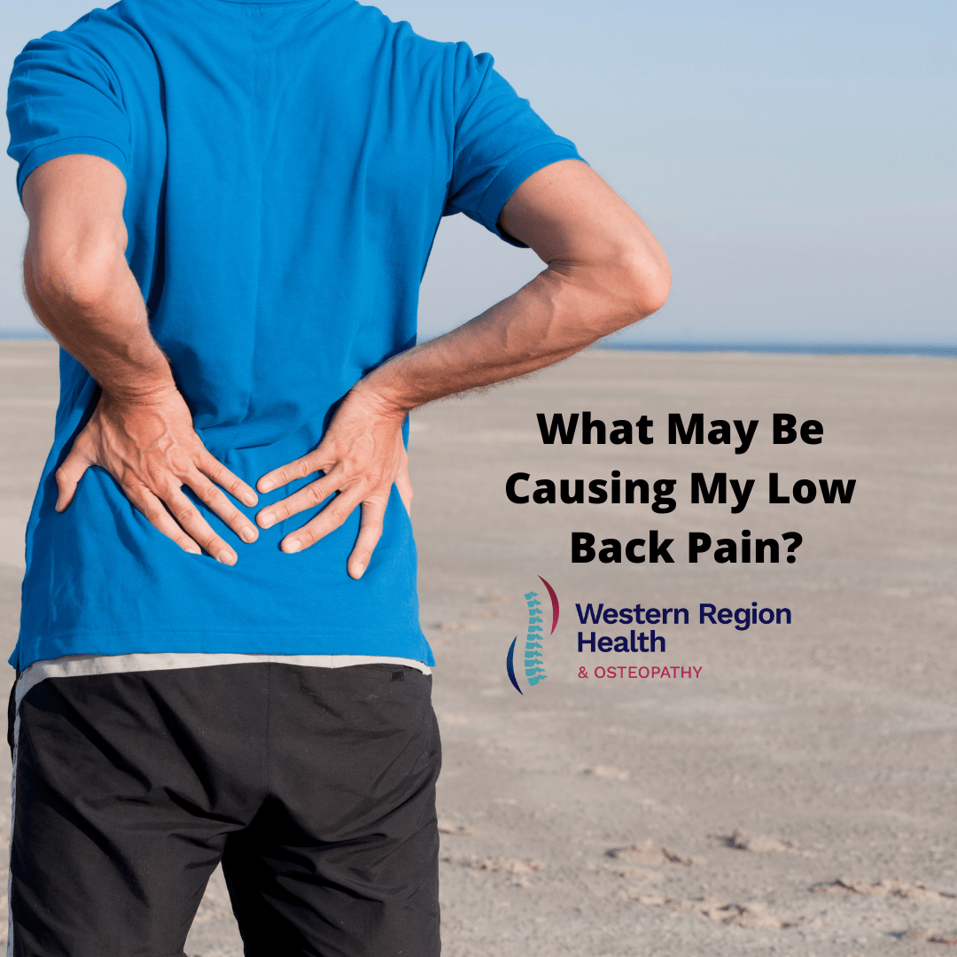 What May Be Causing My Low Back Pain? - Western Region Health
